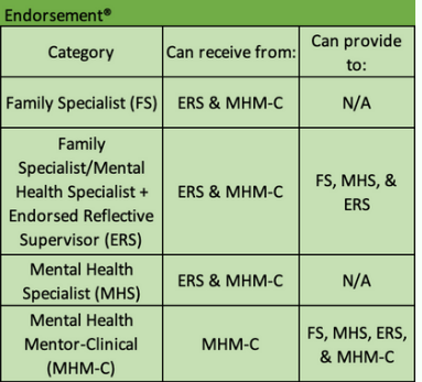 Updates for the Endorsement Requirements | ctaimh